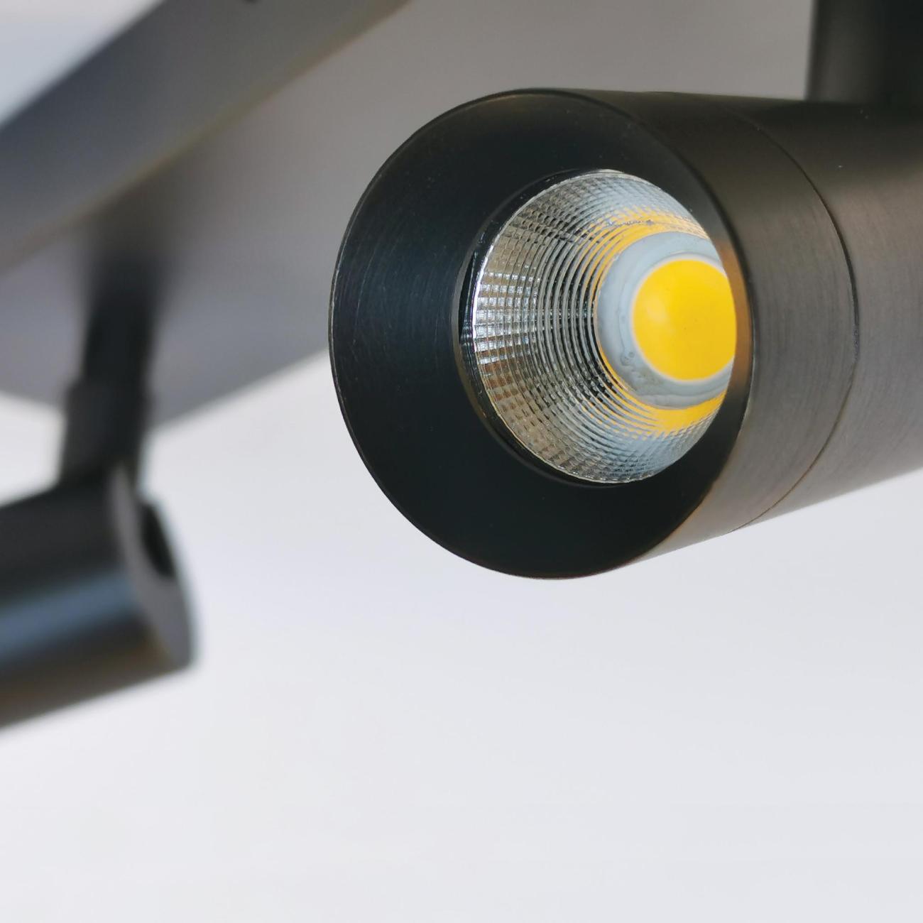 ALTA | Davidts Lighting